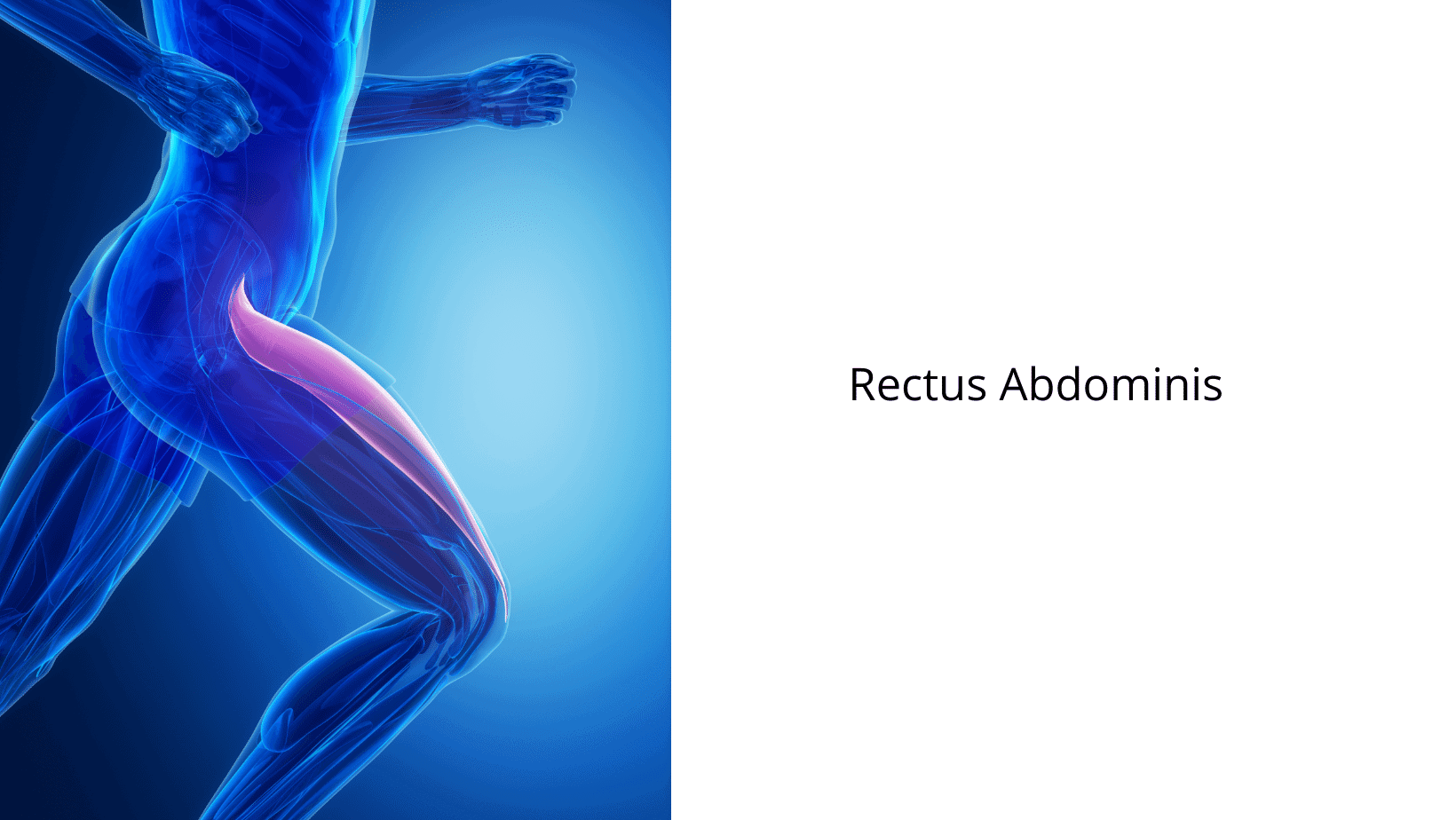 How to Do Bicycle Crunches - Flat Iron Bike