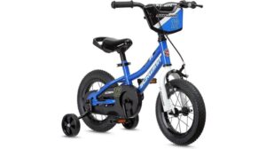 15 Best Bicycle Computers With Cadence for Tracking Your Cycling ...