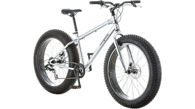 Mongoose Malus Fat Tire Bike Review - Flat Iron Bike