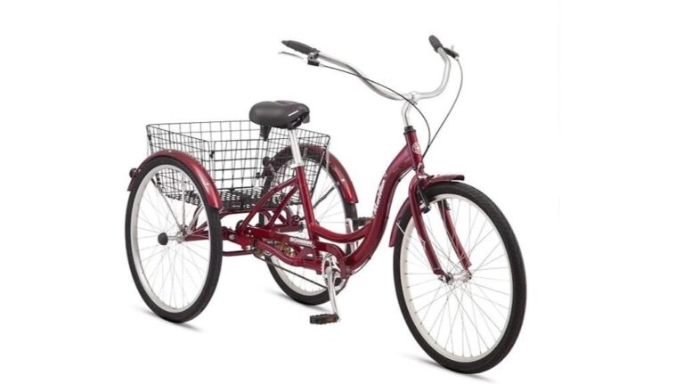 Schwinn Meridian Adult Tricycle Bike Review - Flat Iron Bike