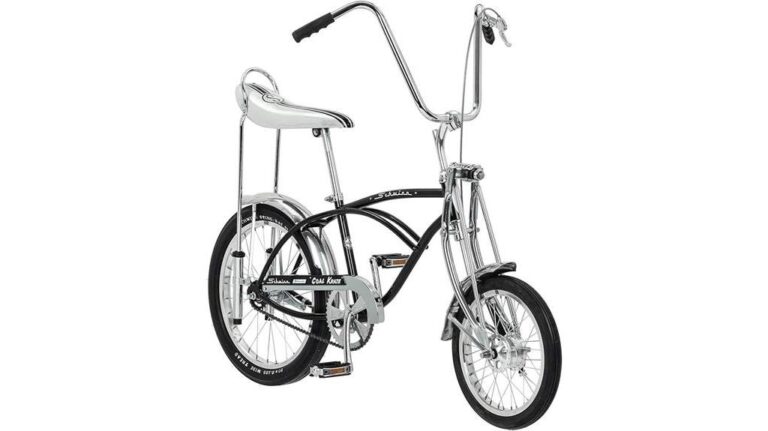 Schwinn Classic Krate Kids Bike Review - Flat Iron Bike