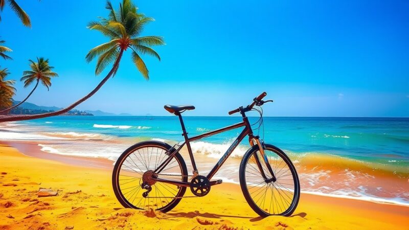Cycle India’s Goa Beaches: Sun, Sand, and Smooth Rides! - Flat Iron Bike