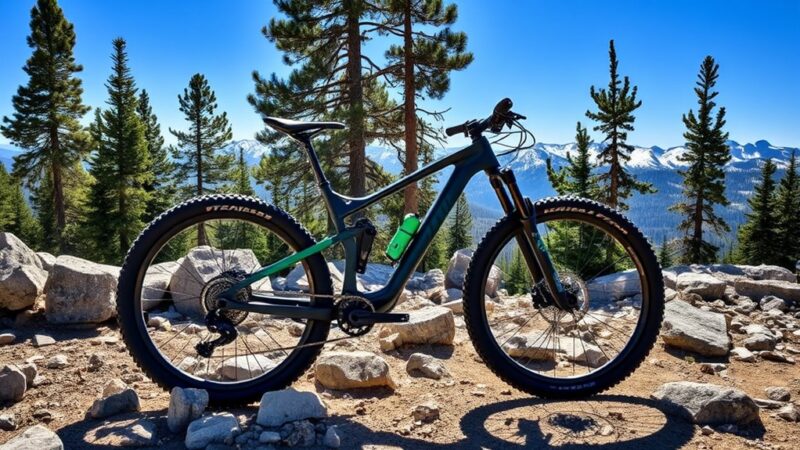 14 Best High-End Mountain Bikes for Serious Riders in 2025 - Flat Iron Bike